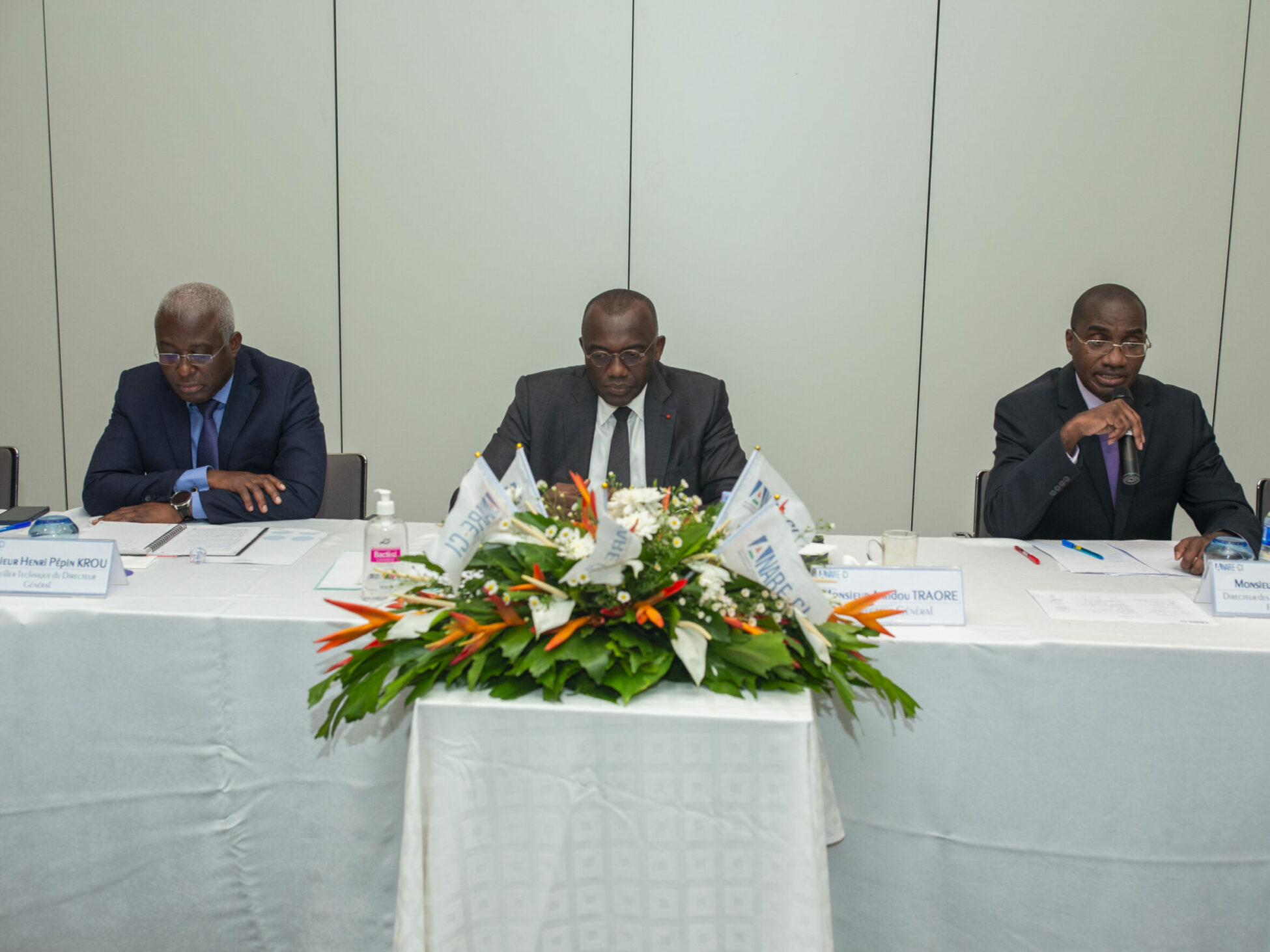 ANARE-CI – Autorité nationale de régulation du secteur de l'électricité