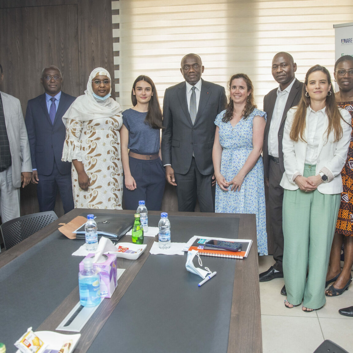 ANARE-CI – Autorité nationale de régulation du secteur de l'électricité